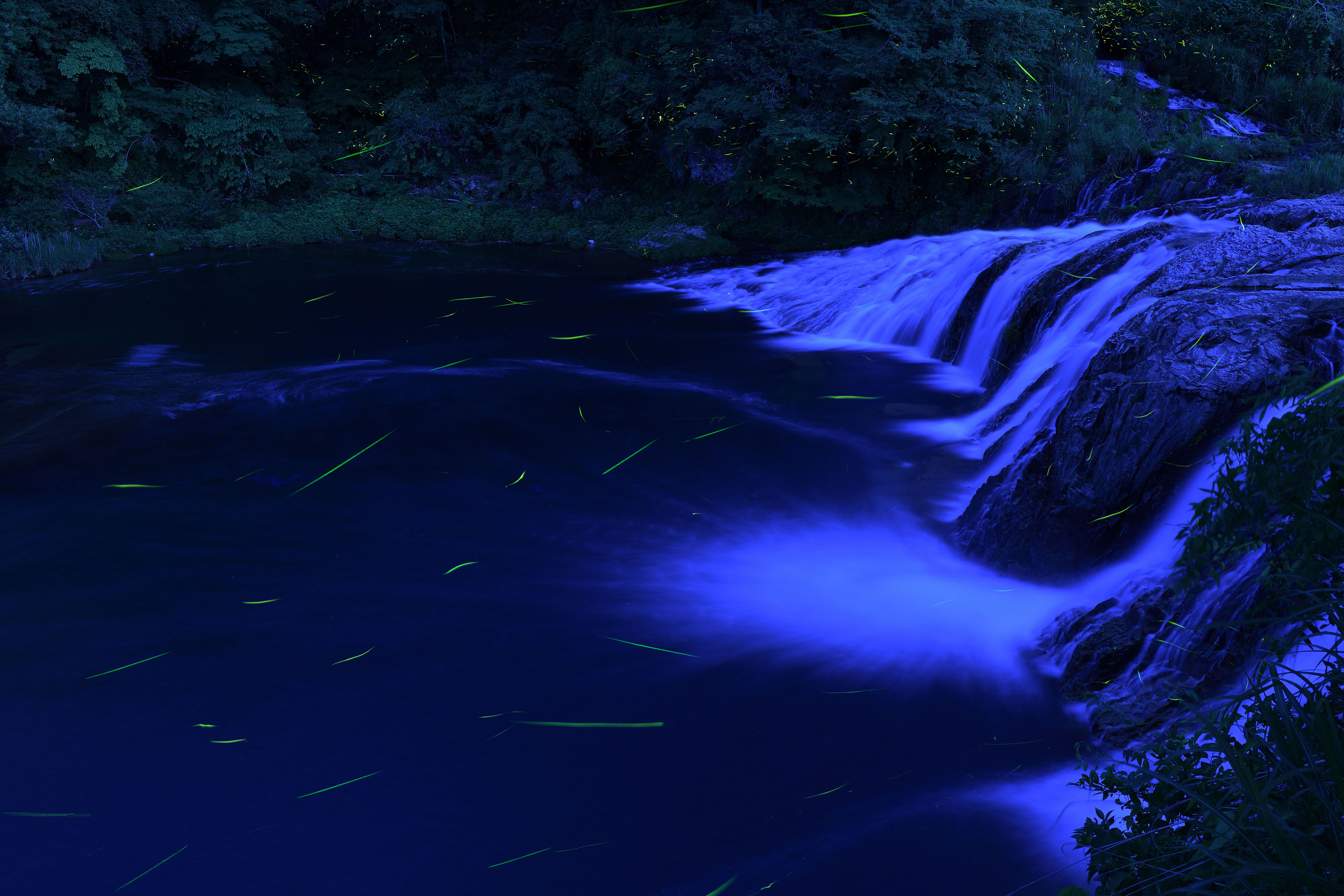 DSC_5661 | HIROBA！