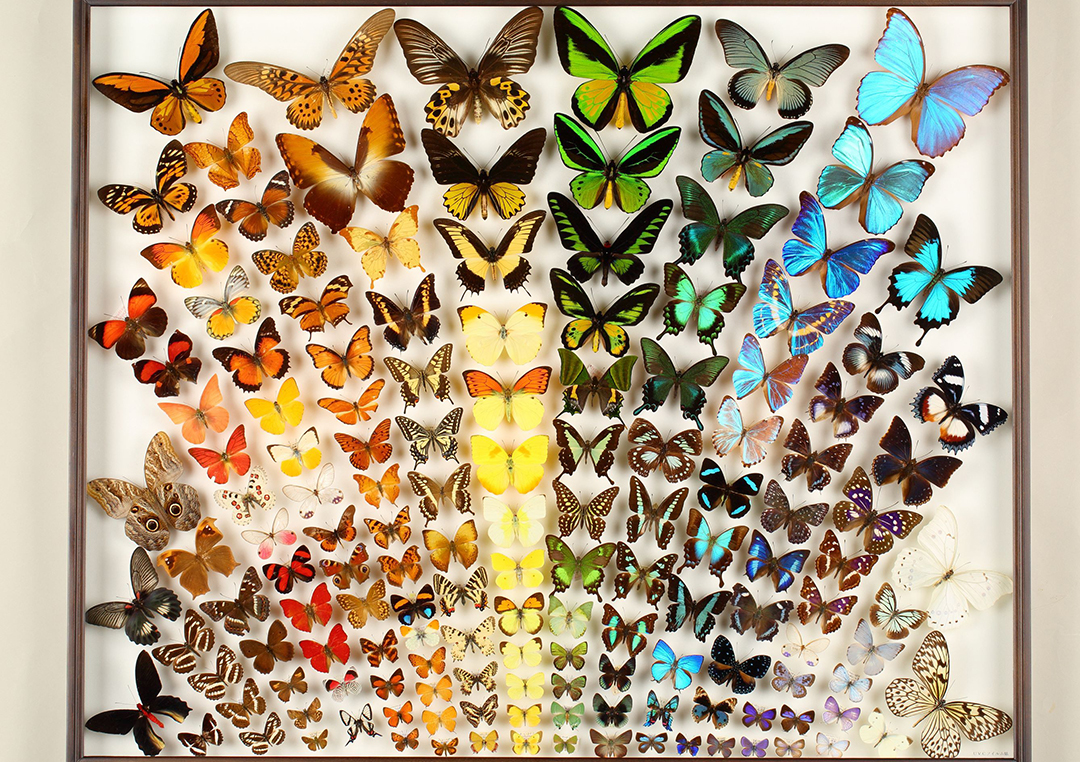 topics_240626-bnr | HIROBA！